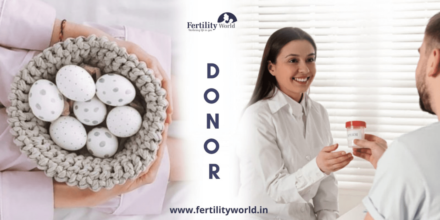 CHEAPEST IVF IN THE WORLD - Fertilityworld