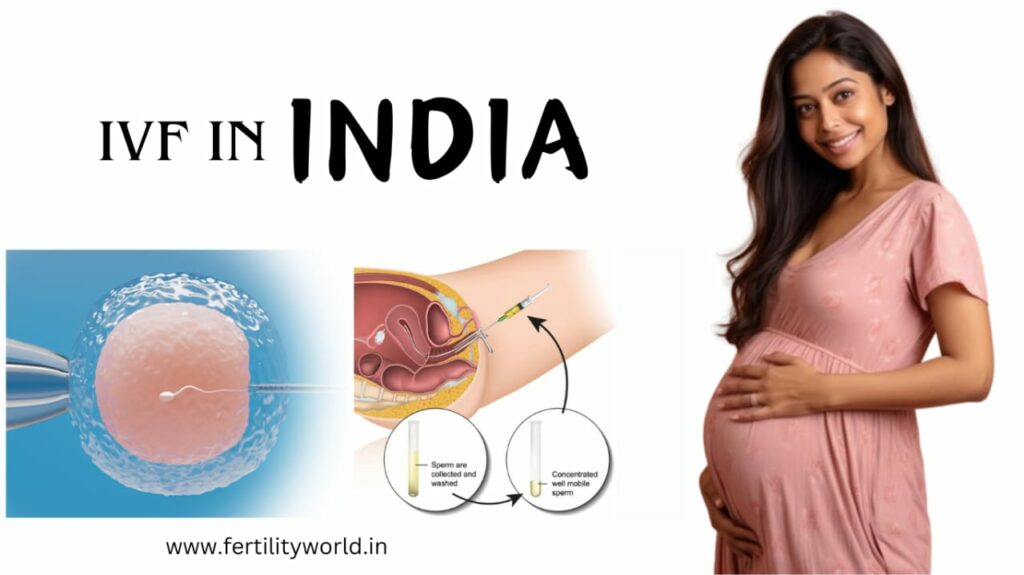 IVF Price- Everything you need to know about IVF Price - Fertilityworld