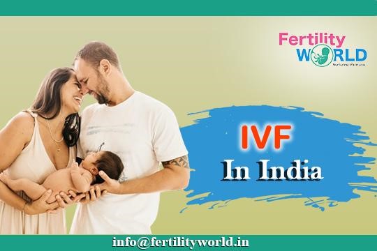 Ivf Price Everything You Need To Know About Ivf Price Fertilityworld