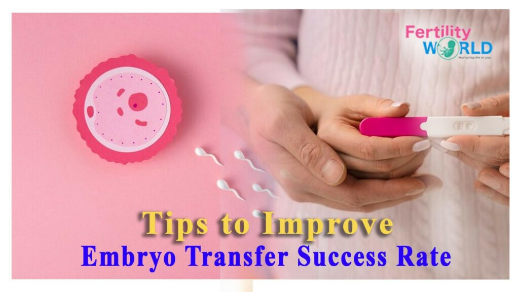Embryo Transfer- 9 Tips To Improve Your Success Rate - Fertilityworld