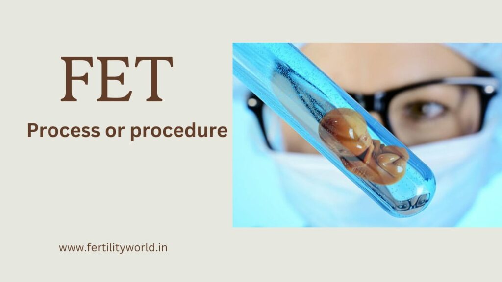 FROZEN EMBRYO TRANSFER | FERTILITYWORLD