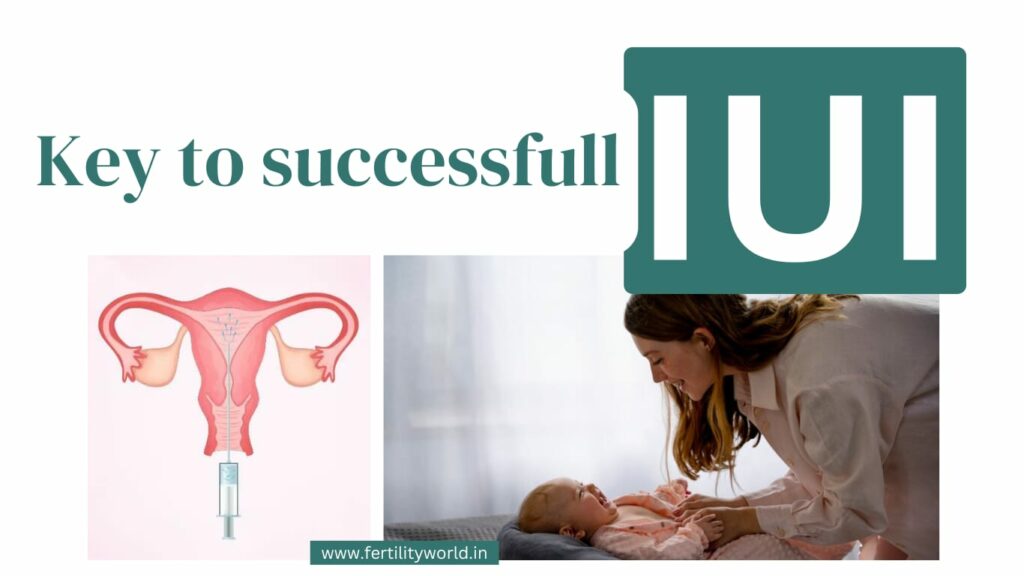 Intrauterine Insemination (IUI) | Fertilityworld
