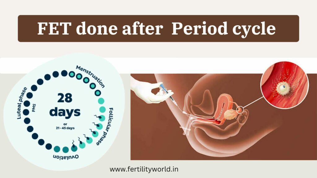 FROZEN EMBRYO TRANSFER | FERTILITYWORLD