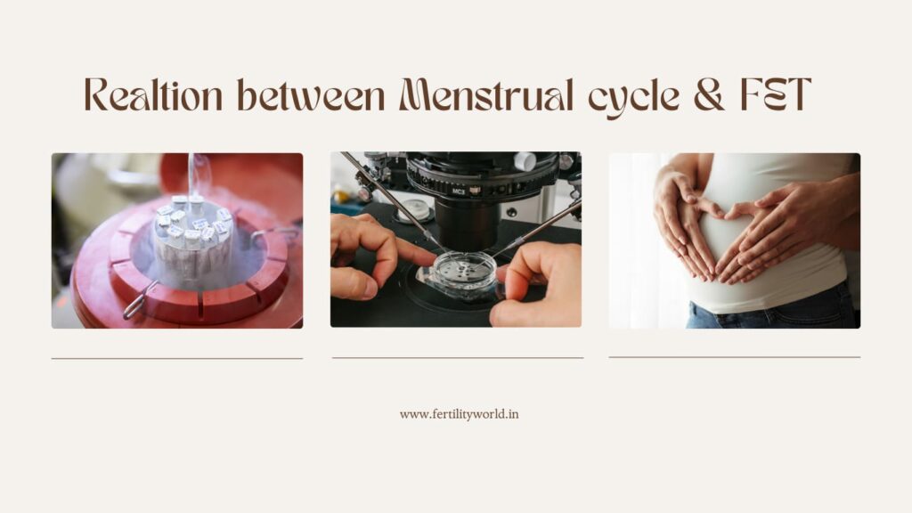 FROZEN EMBRYO TRANSFER | FERTILITYWORLD