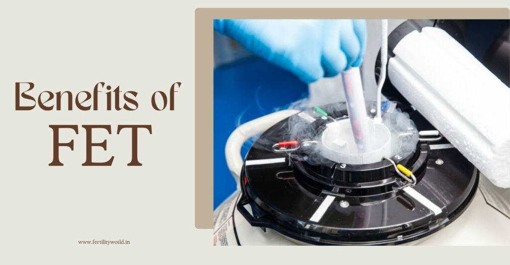 FROZEN EMBRYO TRANSFER | FERTILITYWORLD