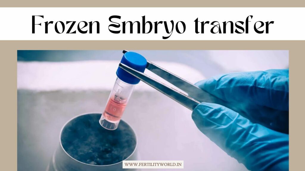 FROZEN EMBRYO TRANSFER | FERTILITYWORLD