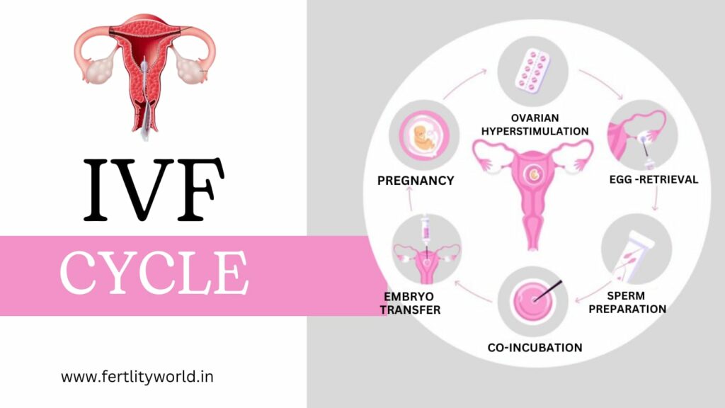 IVF in Tanzania | IVF hospital in Tanzania - Fertilityworld