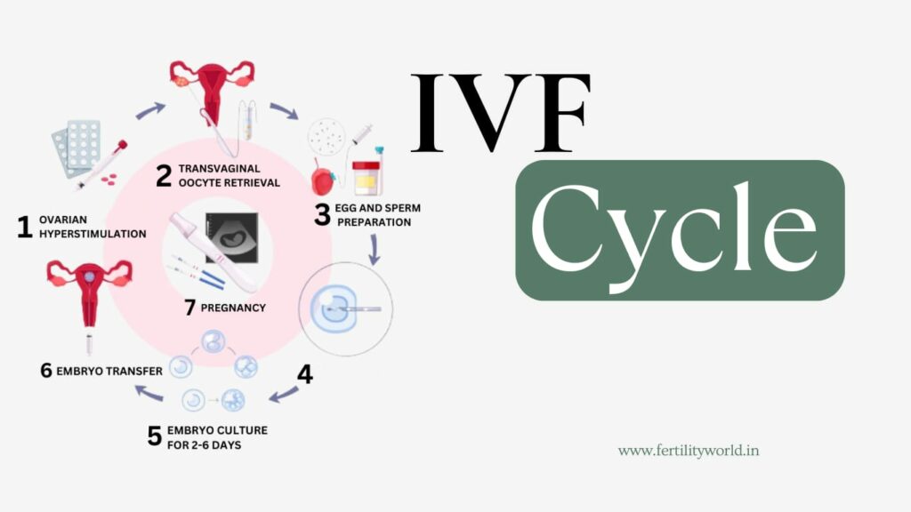 BEST IVF CLINIC IN JAPAN. - Fertilityworld
